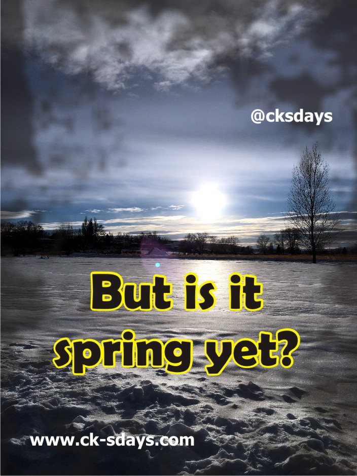 But is it spring yet? | ck's days