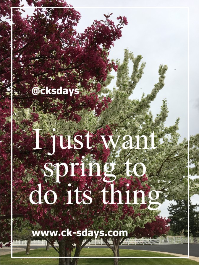 Waiting for spring… | ck's days